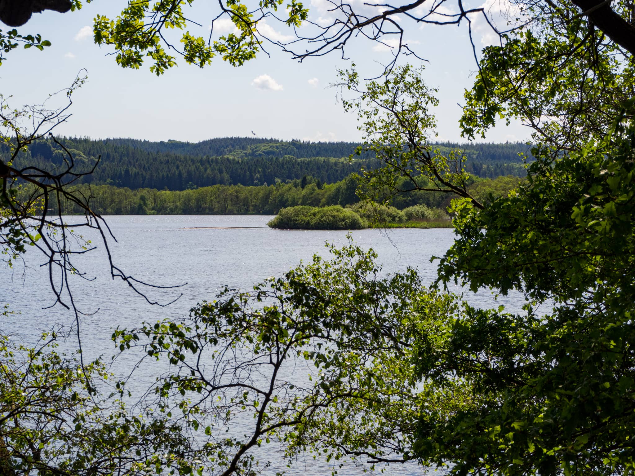 Kaje sø og Køge sø