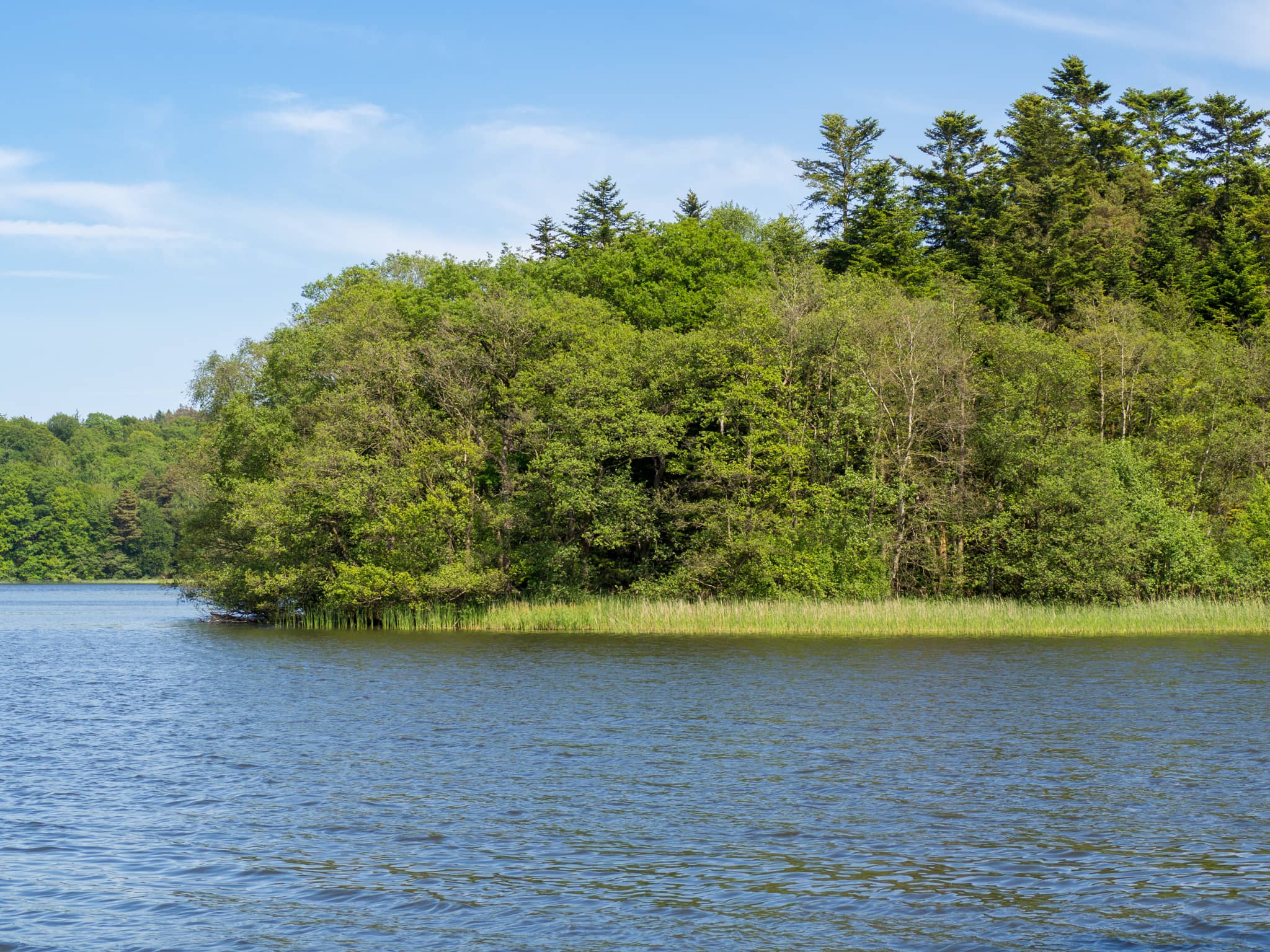 Kaje sø og Køge sø